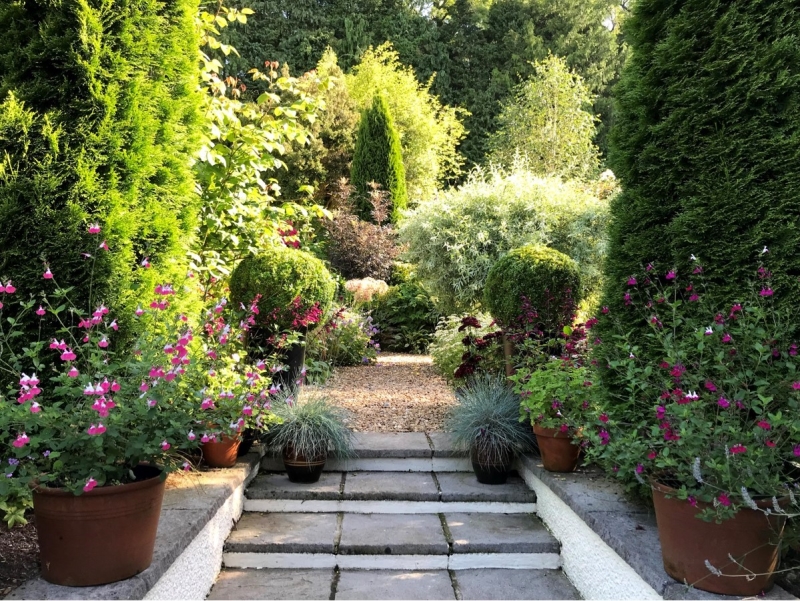 Meeting Report – 20th November 2024 – Brian Mackness – “Gardens ...