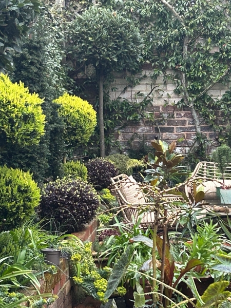 Meeting Report – 20th November 2024 – Brian Mackness – “Gardens ...