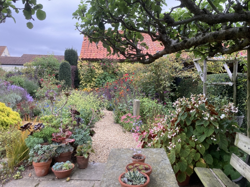 Meeting Report – 20th November 2024 – Brian Mackness – “Gardens ...